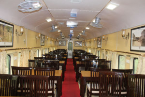 Travel: Tiger Express - a roaring journey, blissful experience - INDIA ...