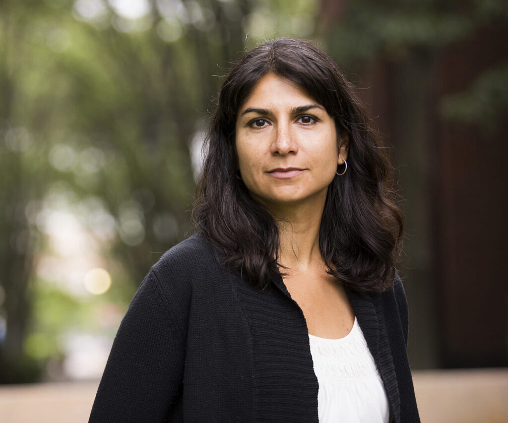 And now, the way forward: Harvard faculty share their thoughts on the ...