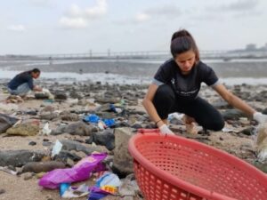 Single use plastic makes up 50% of marine litter in India - INDIA New ...
